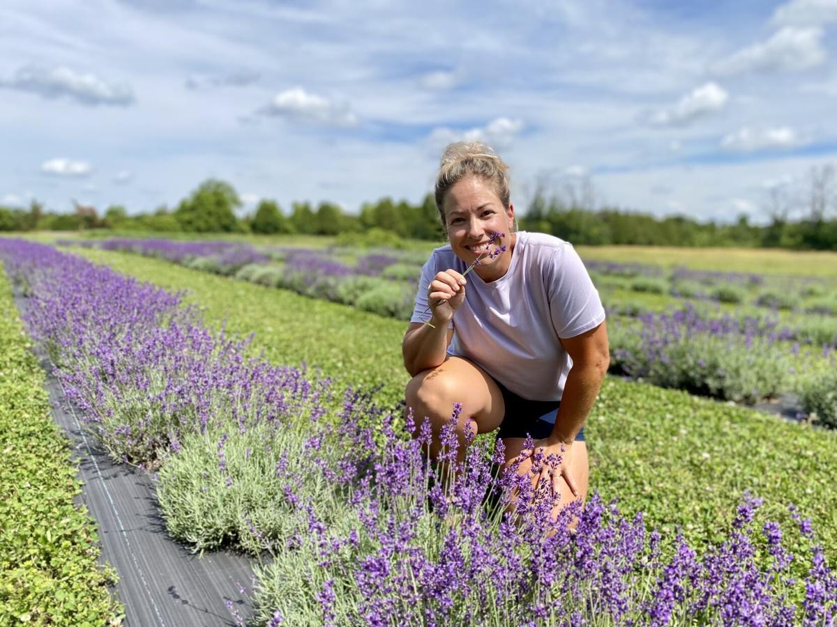 lavender fields promo code