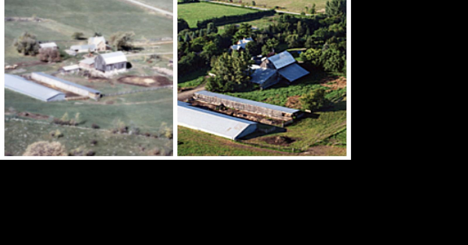 51 years of planting trees on the Dobson Farm