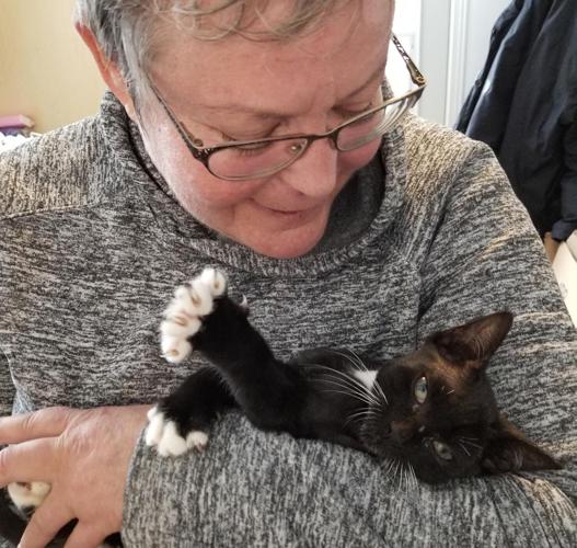 Feral cats are costing the Town of Smiths Falls.