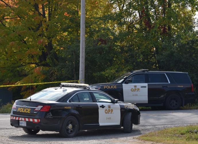 ‘Continuing to work on identifying the killer’: No arrests yet in ...