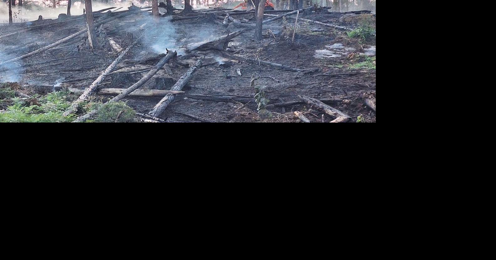 Forest fire in Madawaska Valley officially declared out