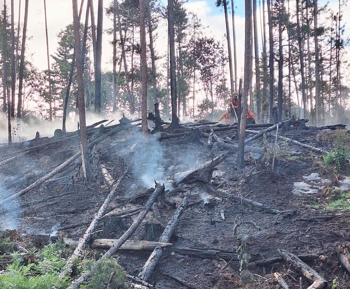 burnt forest postal code