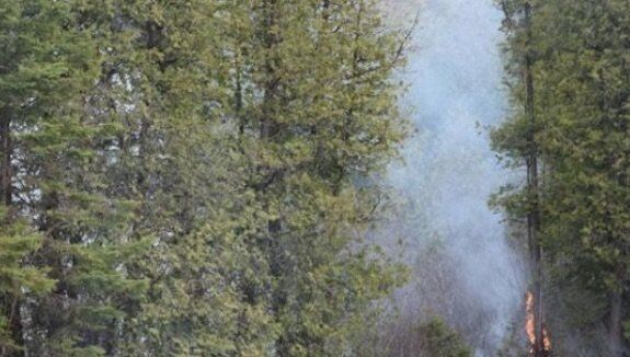 Grass fire in Montague keeps Lanark County firefighters busy