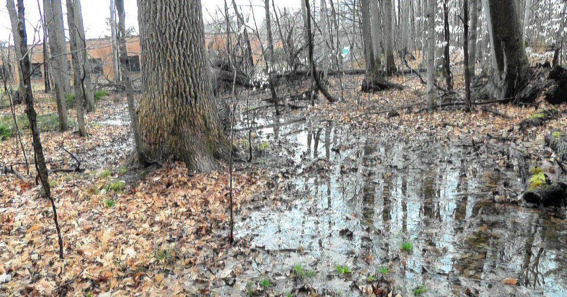 Nature provides its own flooding solution