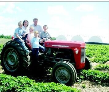 Miller's bay farm gears up for strawberry season, launches food box program