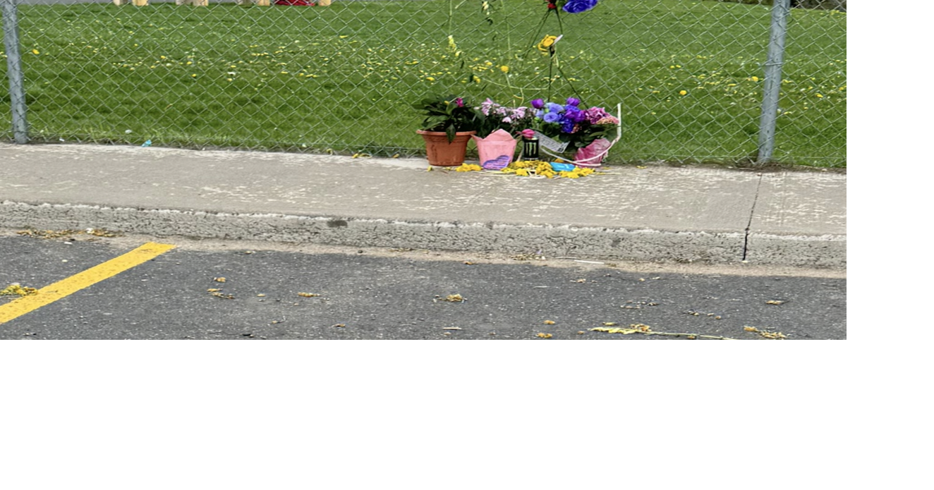 Sharbot Lake collision claims life of teen Alex Cryer