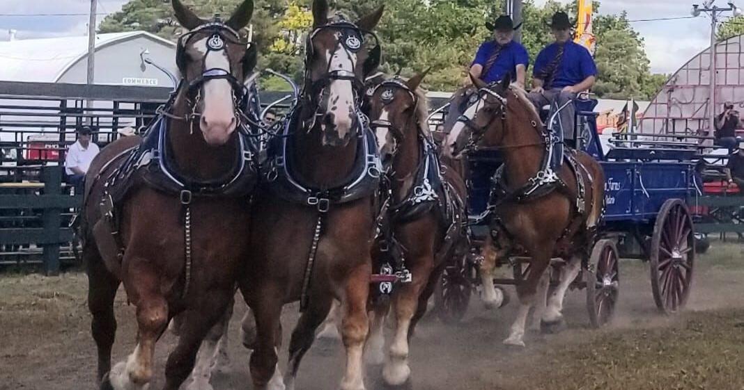 The Perth Fair is back! What’s happening that you can’t miss?