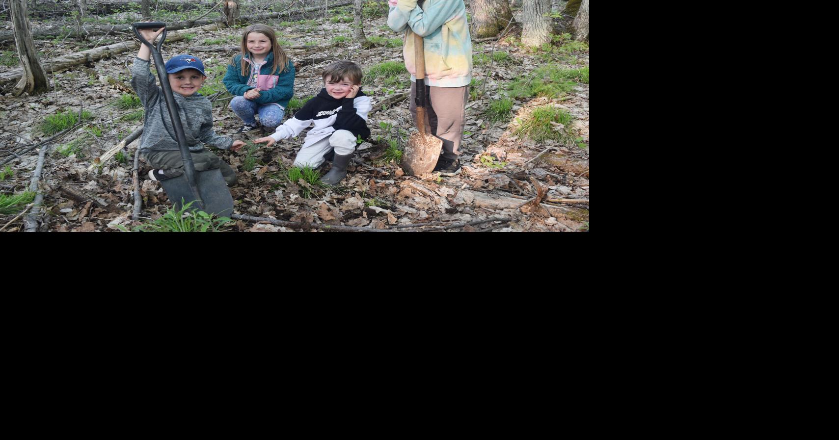 Beckwith youth plant trees along local nature trail
