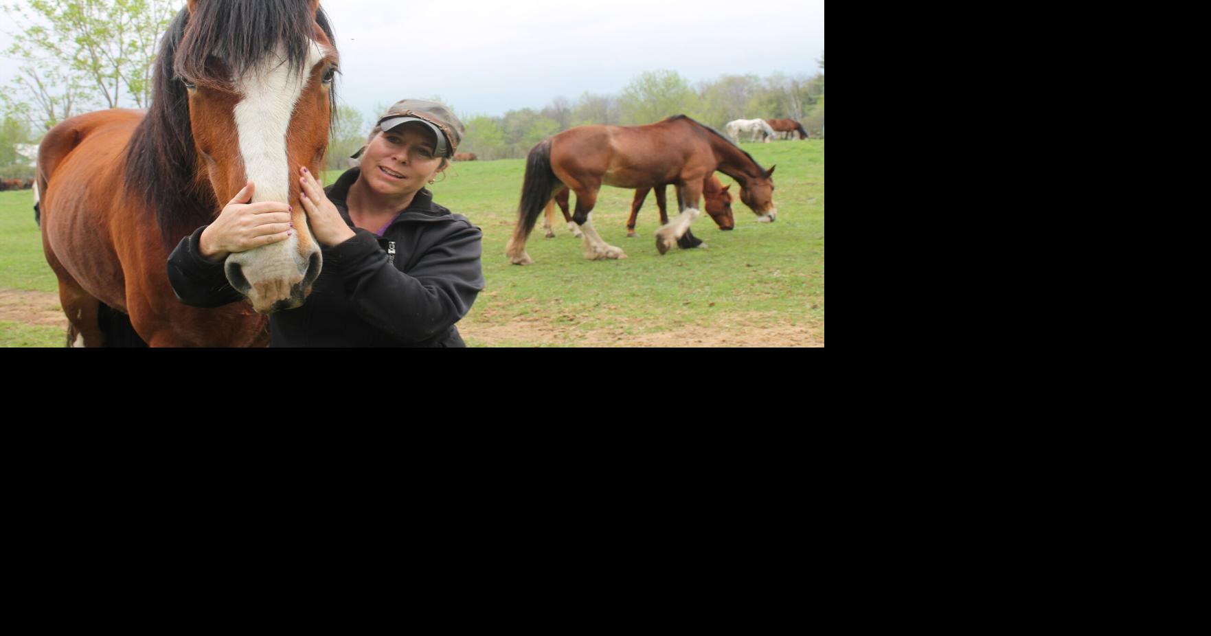 Pinto Valley Ranch: the end of an era