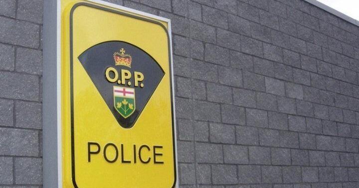 OPP: Widespread Carleton Place graffiti ‘cause for concern’