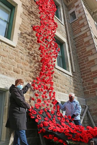 WHAT'S GOING ON HERE?: Thousands of poppies on display at Perth ...