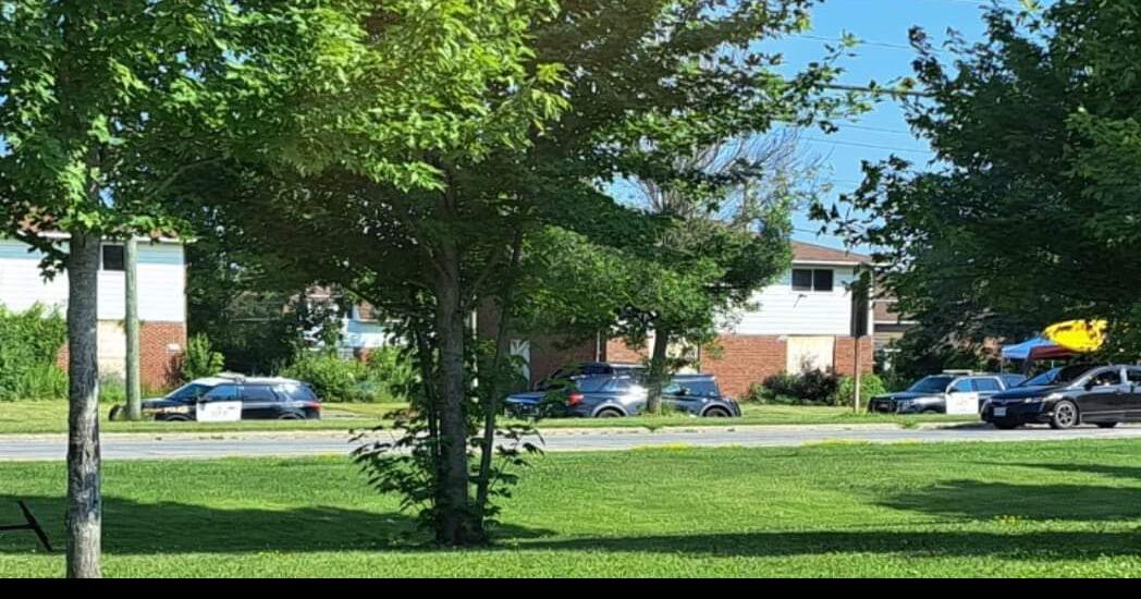 Lanark County OPP conduct training exercises in Carleton Place