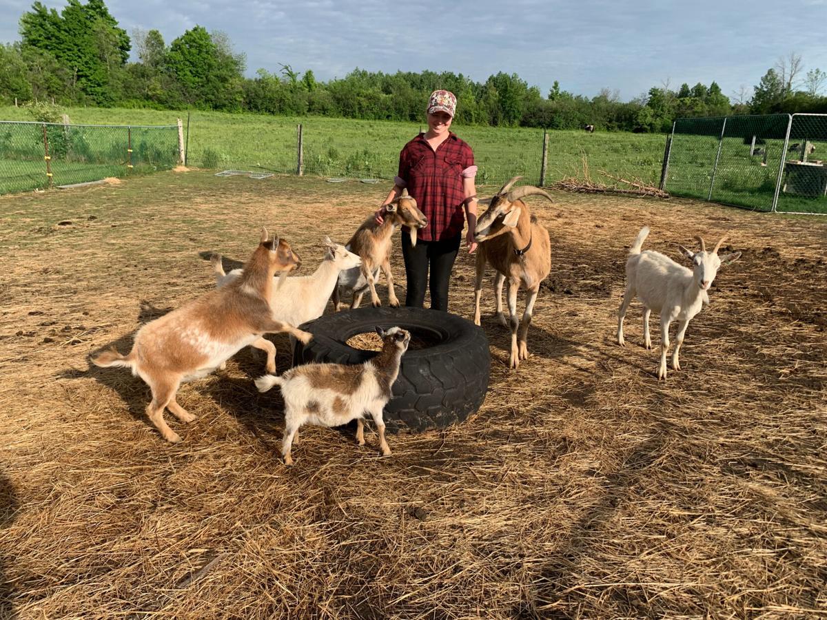 Thunder Hollow Stables offering goat walks, petting zoo