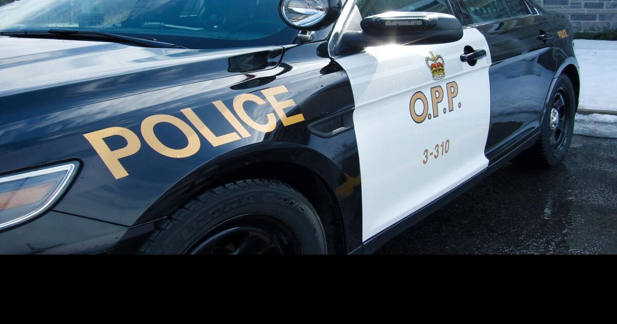 Carleton Place man dead after Feb. 10 crash on Queensway