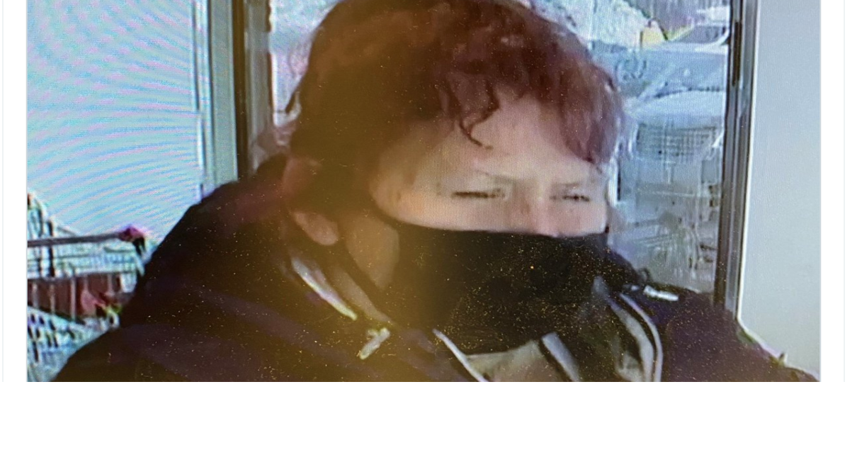 OPP seek to identify potential suspect in Perth theft