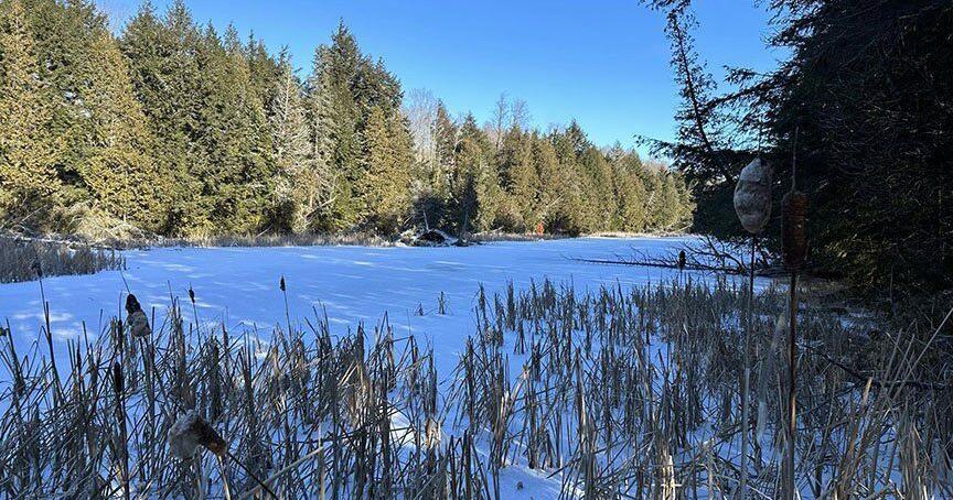 Local Land Trust proud owner of Marl Lake Nature Reserve