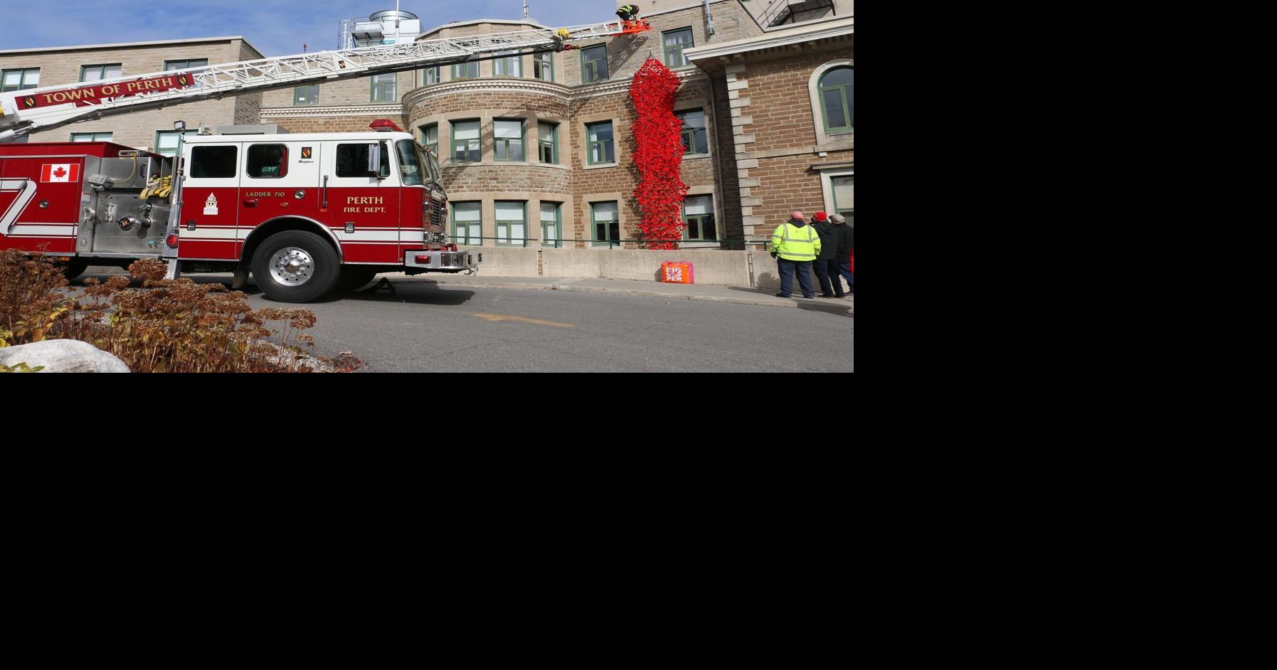WHAT'S GOING ON HERE?: Thousands of poppies on display at Perth ...