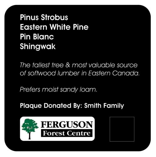 Tree identification plaque program unveiled for Kemptville’s Ferguson ...