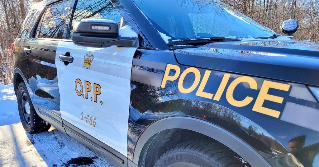 Concerned neighbour leads OPP to 2 people in distress