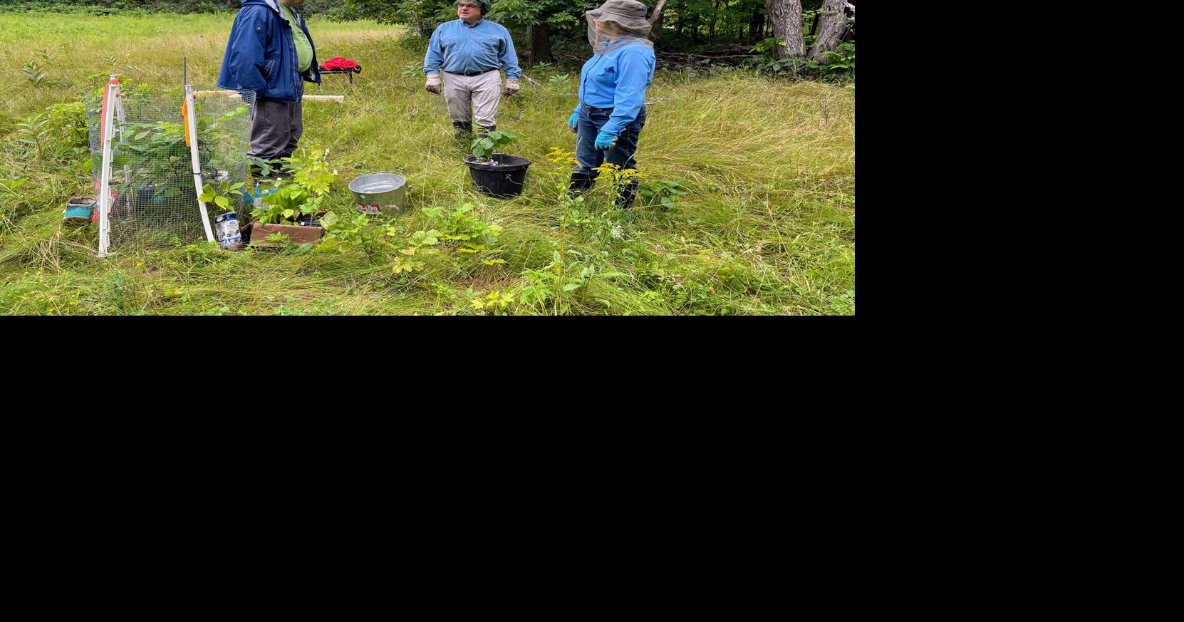 Our Perth Trees volunteers help protect town's tree canopy