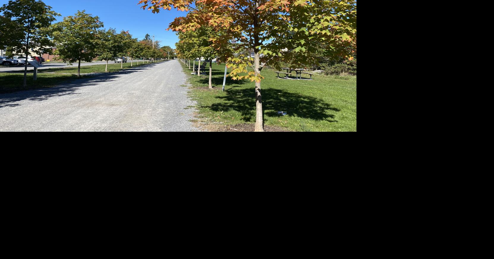 Almonte Farmers Market opens in new location May 20