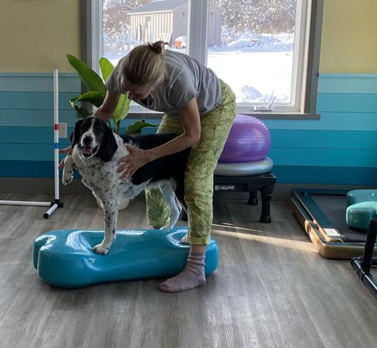 Perth Physiotherapy’s Catherine Ball launches animal rehab clinic