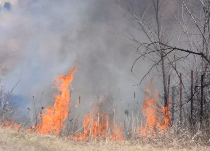 Man charged by OPP after April 1 grass fire in Beckwith