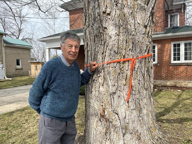 Our Perth Trees volunteers help protect town's tree canopy