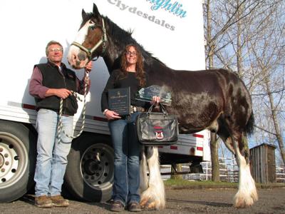 clydesdale results