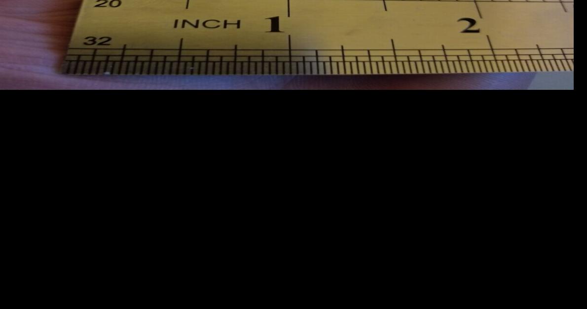 Think you saw a ‘murder hornet’ in Ontario? Report it