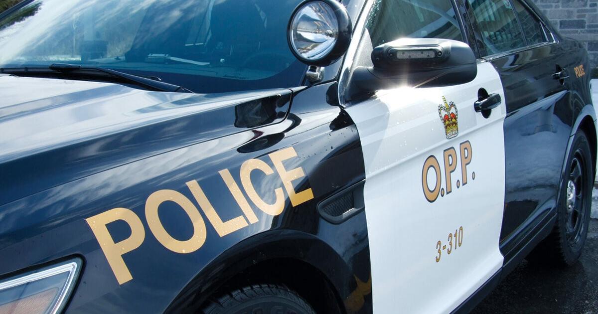 Renfrew OPP execute warrant, lay multiple charges