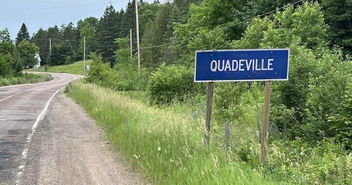OPP looking for witness following Quadeville incident
