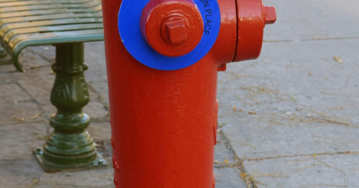 Carleton Place fire hydrant disc colours actually mean something