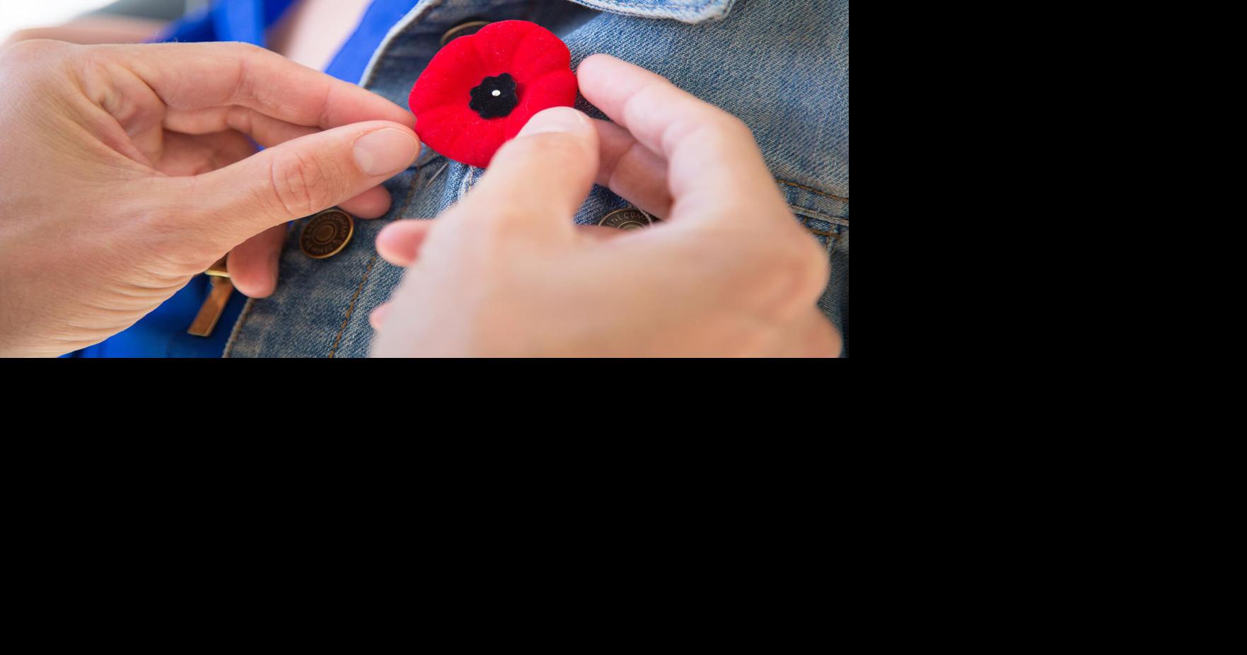 5 facts about the poppy on its 100th anniversary