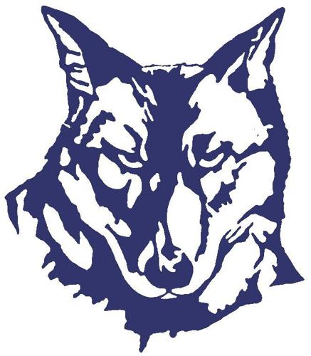 Renfrew Timberwolves on the hunt for new coach
