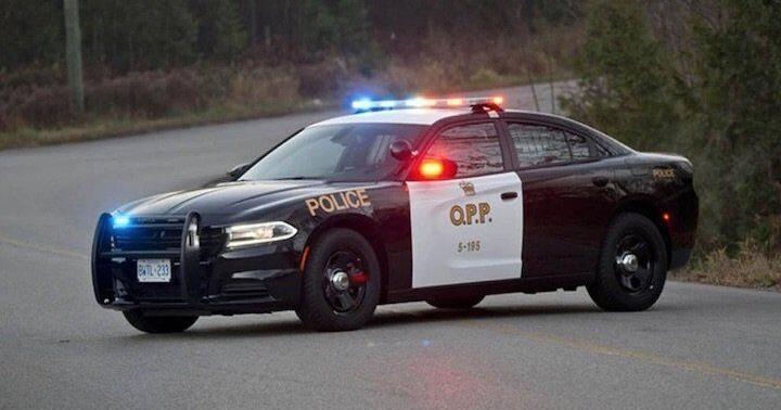 Leeds OPP arrest North Grenville male for firearm offences