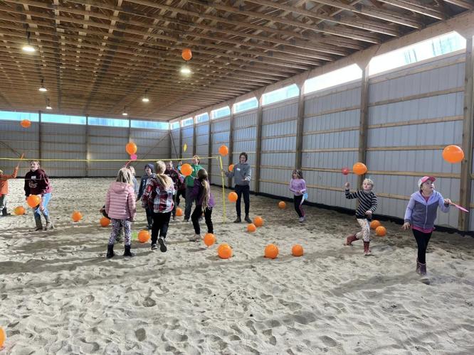 Willow Creek Stables near Perth busy prepping for new arrivals ...