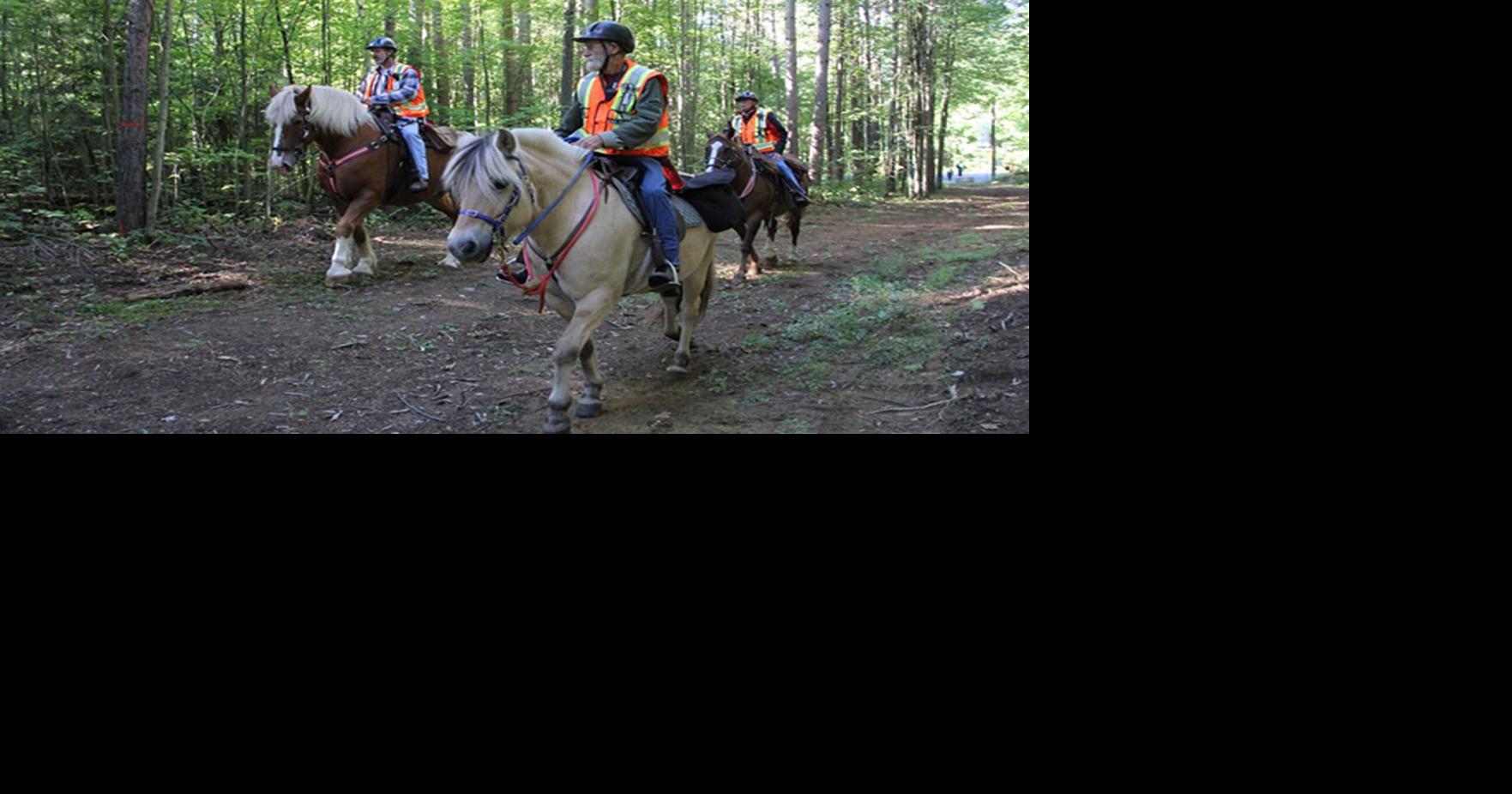 Rideau Mounted Search and Rescue recruiting new riders