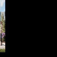 Carleton Place hospital emergency project goes to tender this summer