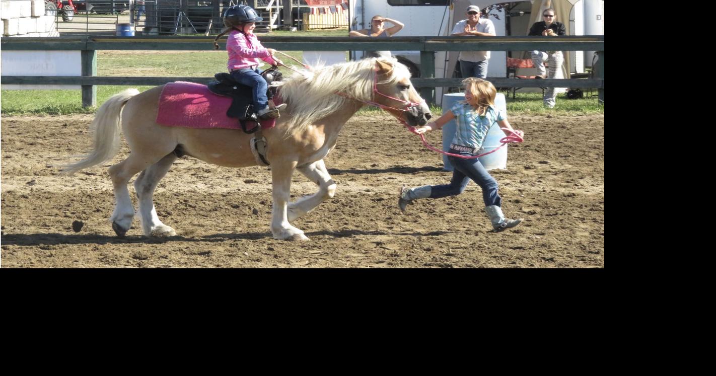 5 Perth Fair highlights for Labour Day weekend