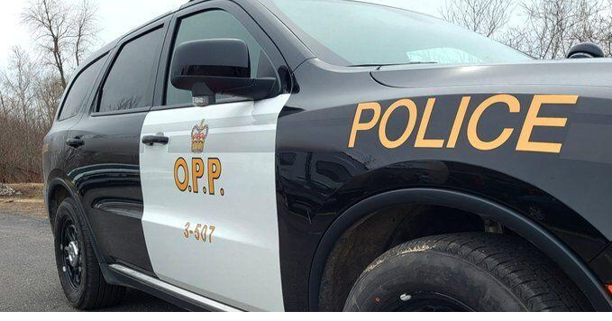 Grenville OPP charge 25-year-old Niagara man with fraud
