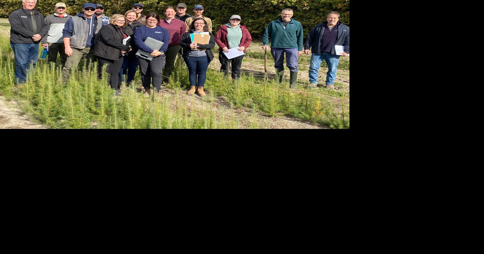 Ferguson Tree Nursery shows stock to forest industry