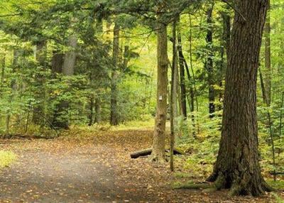 Animal control bylaw will be enforced in Arnprior’s Gillies Grove: NCC ...