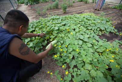 Healing the community, one member at a time | News ...