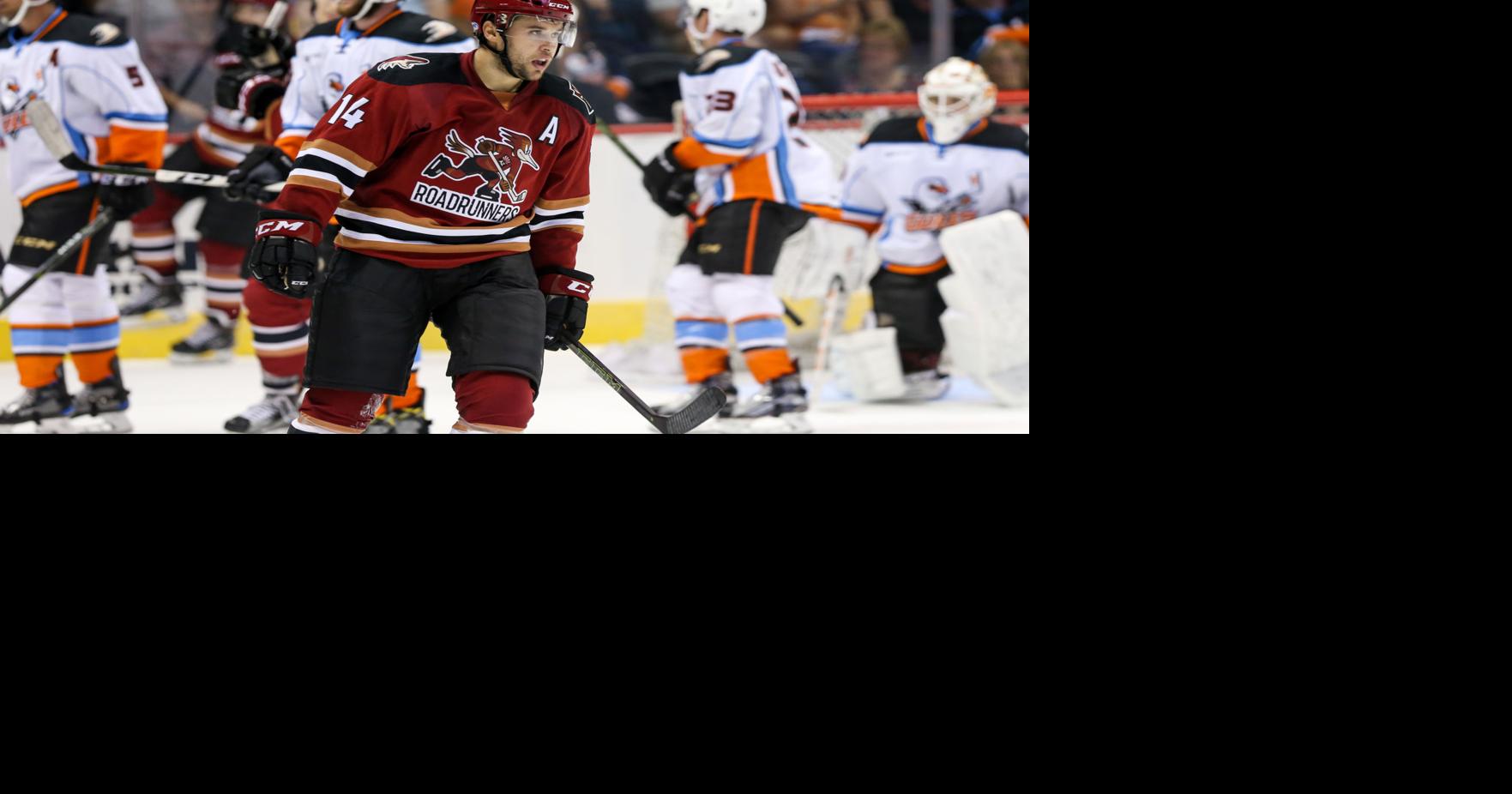 Partnerships and cooperation brought hockey to Tucson | News ...