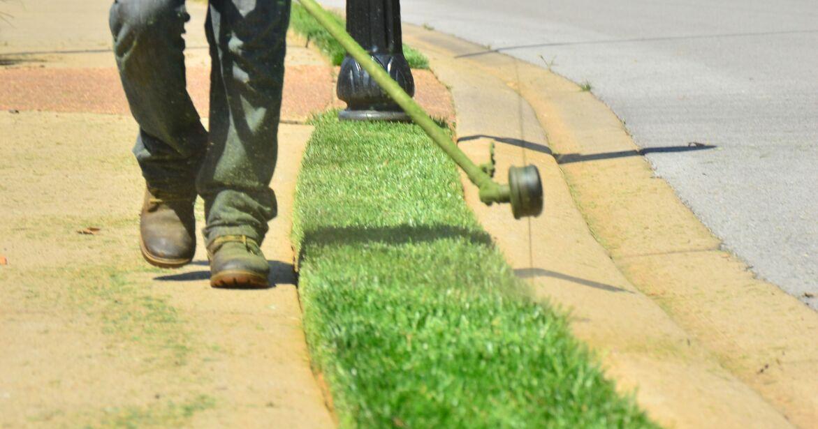 Landscaping at the touch of a mouse button | Business ...