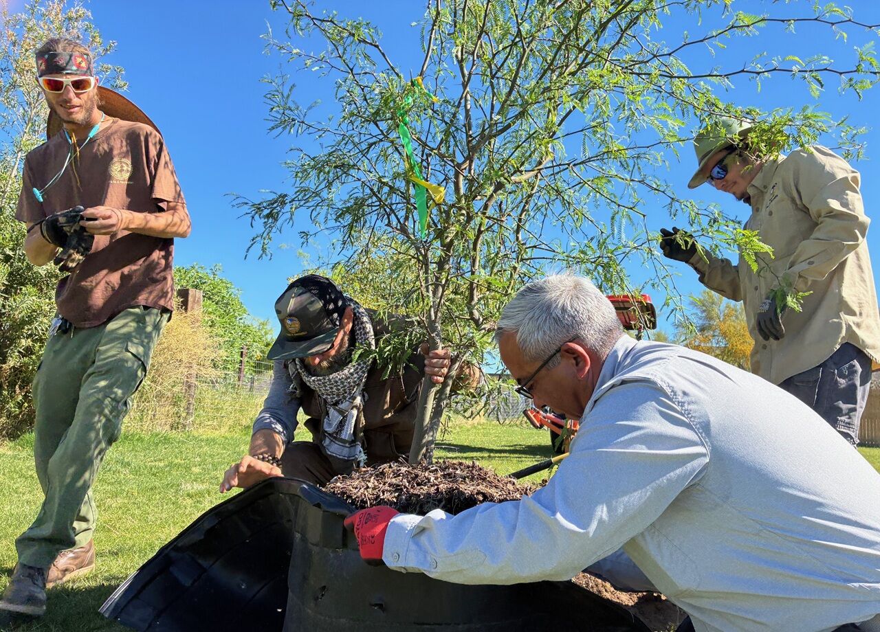 Rotary trees planted at Oro Valley’s Steam Pump | News ...
