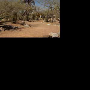 Asarco officials celebrate Mission Mine’s 50 years | News ...