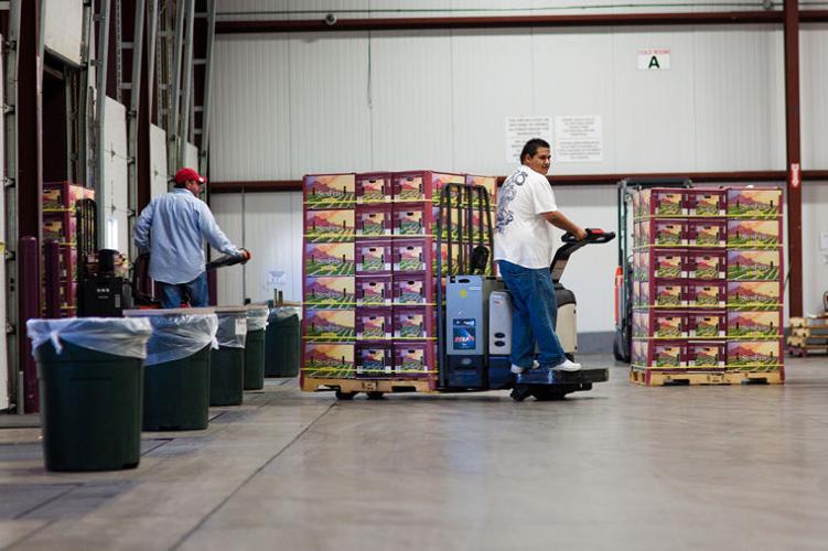 Trade mission focuses on helping small to medium-size businesses expand ...