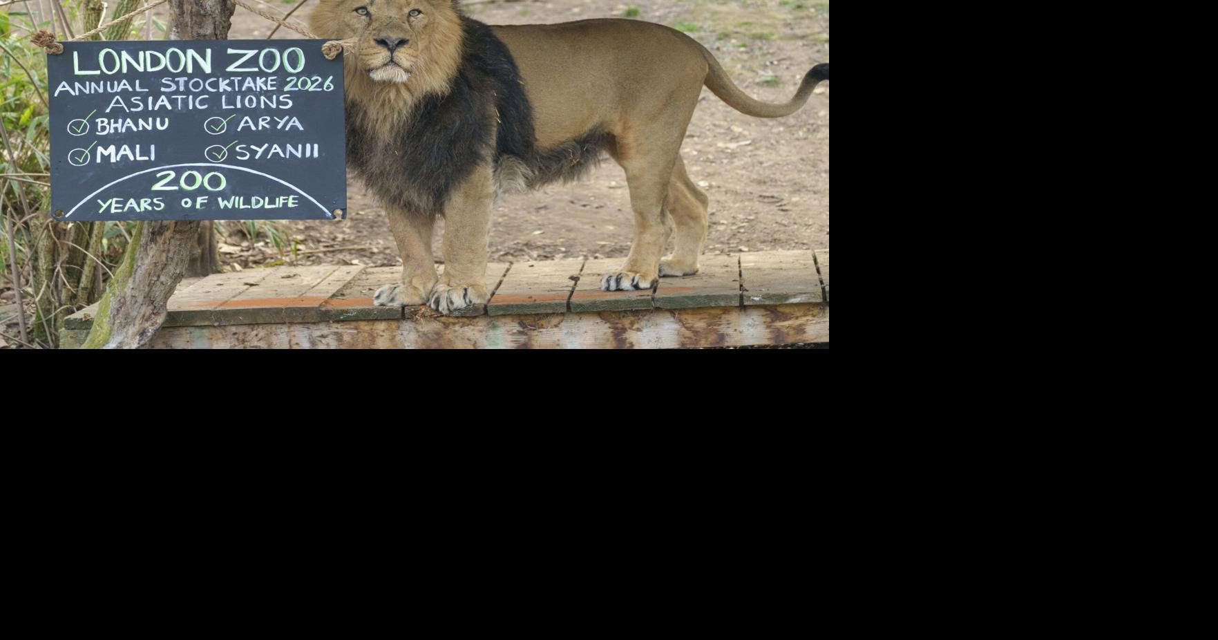 200-year-old zoo conducts annual animal count to start new year ...